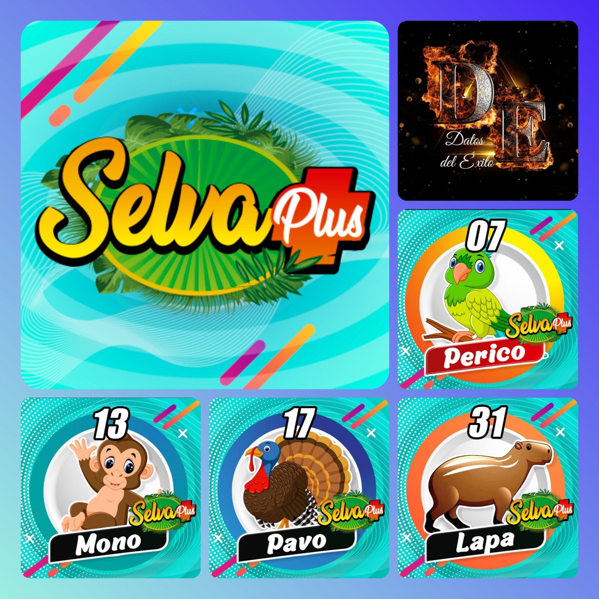 D̳A̳T̳O̳S̳ ̳D̳E̳L̳ ̳É̳X̳I̳T̳O̳ on Twitter: "Ya, @SelvaPlus en todas tus agencias online ...