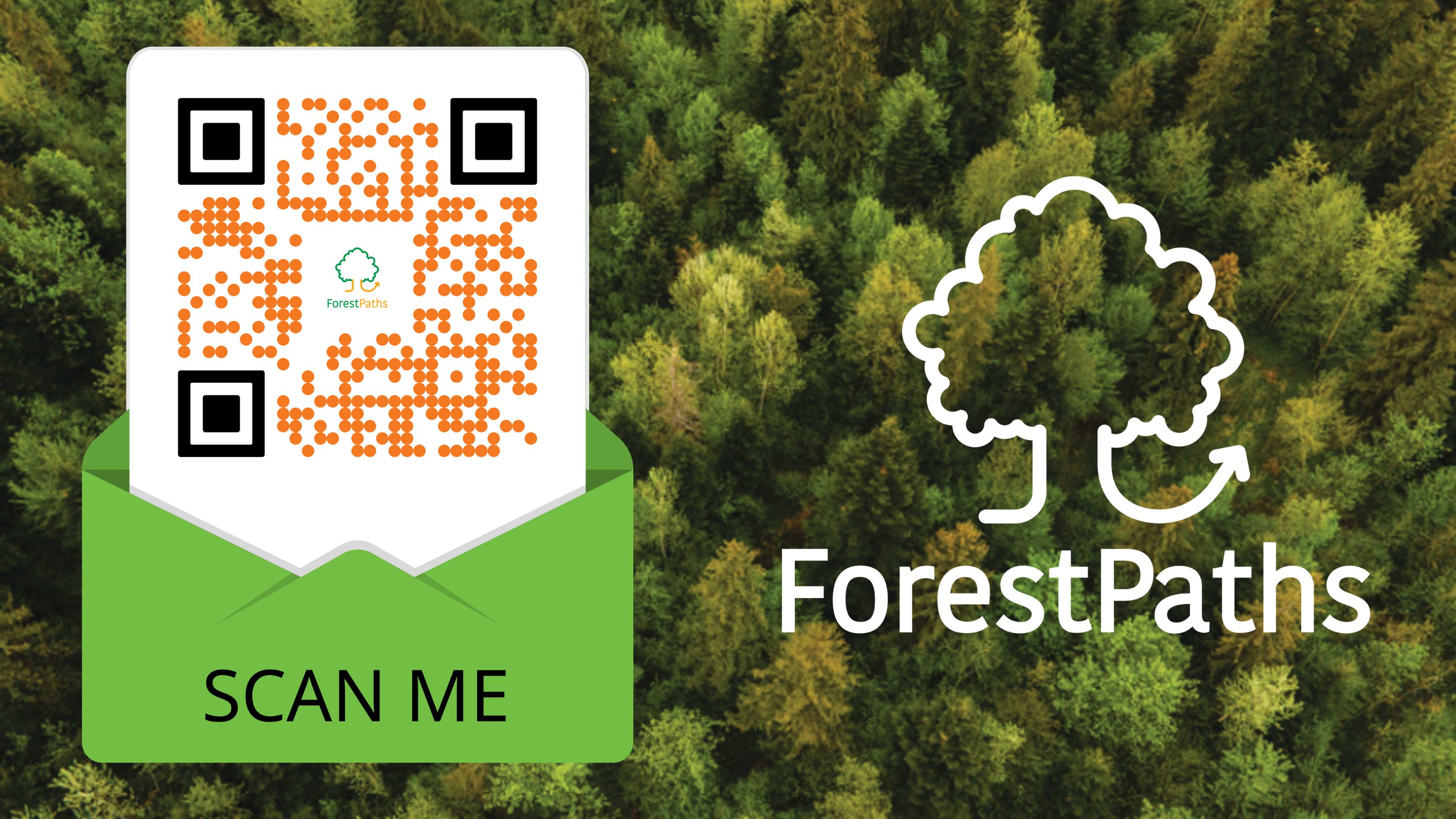ForestPaths Project (@forestpaths_eu) / Twitter