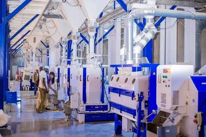 The biggest rice importer in Nigeria has completed the largest rice ...