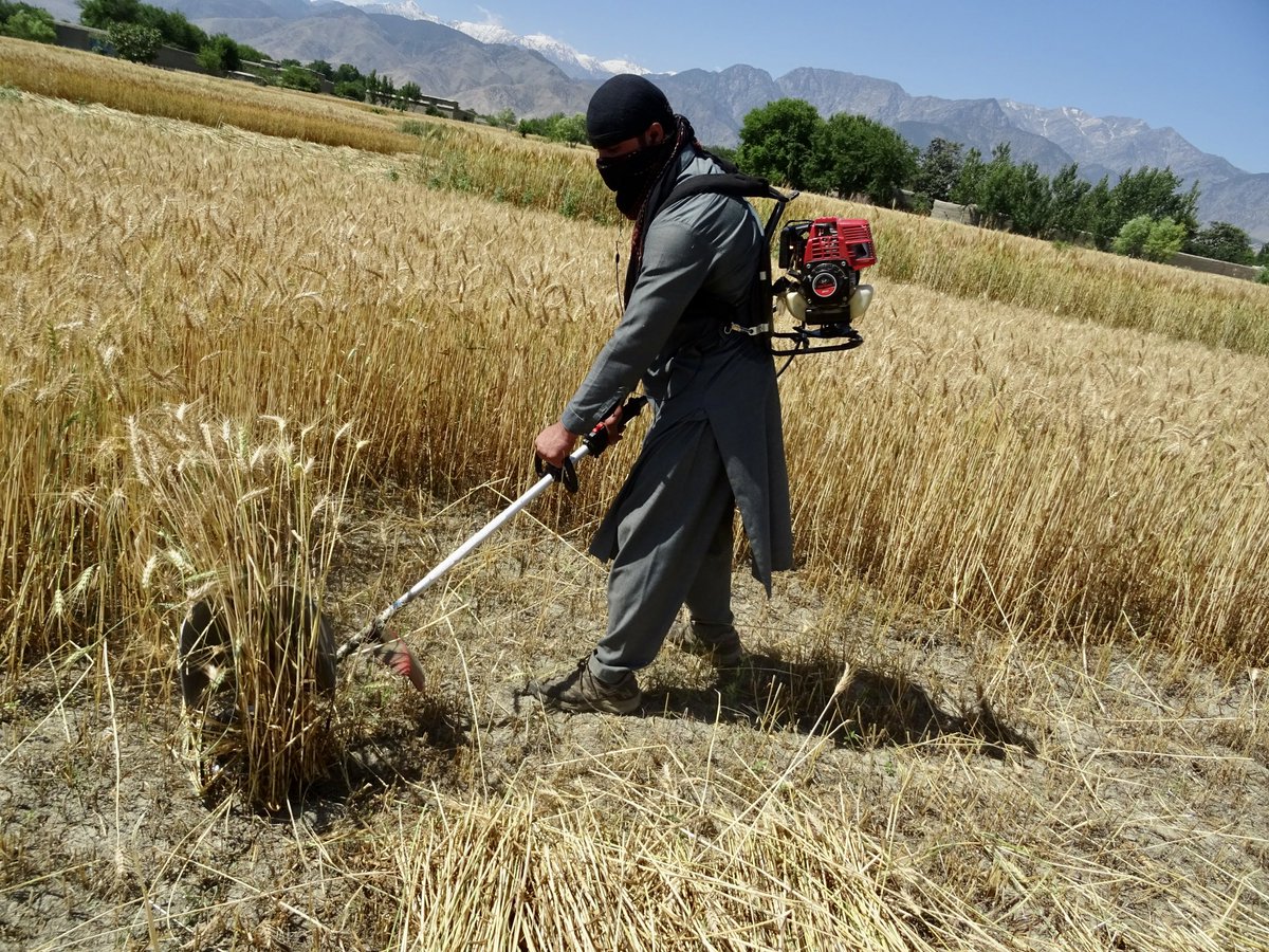 1. Ok, so here is an interesting story in the Times about opium ...