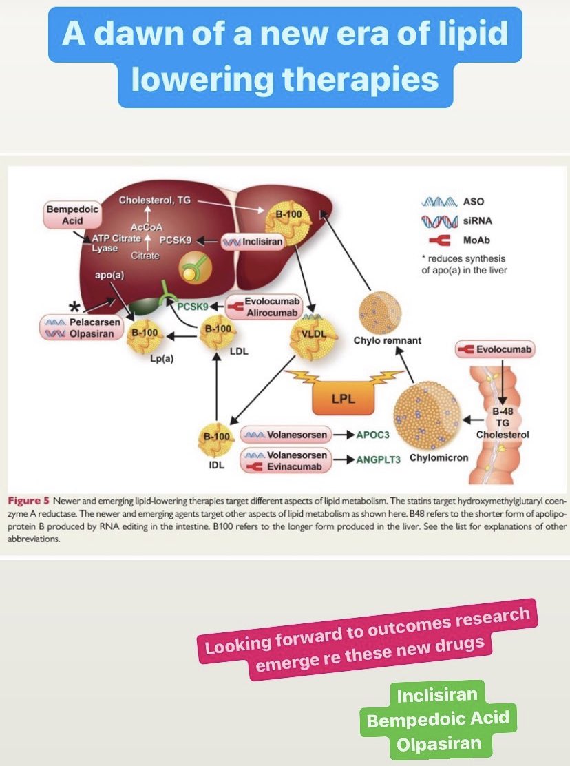 THERAPIES FOR CORONARY ARTERY DISEASE (sound on 🎶) ~~ an evidence-based ...