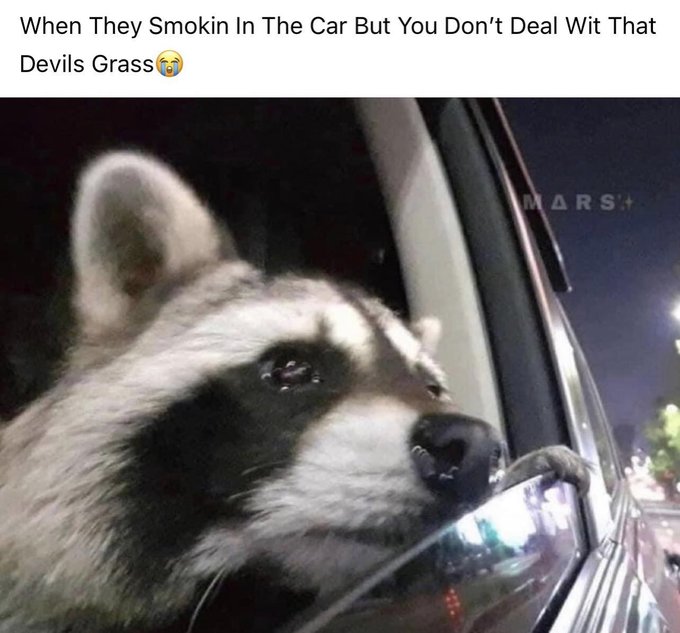 TW Pornstars - Jenna Starr. The latest pictures and videos from Twitter ...