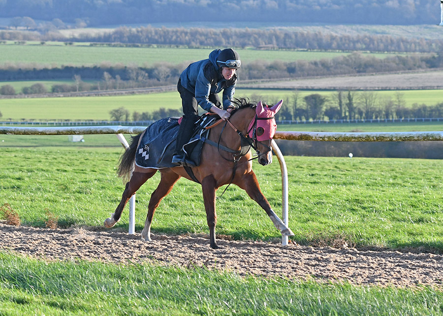 News | Brian Ellison Racing