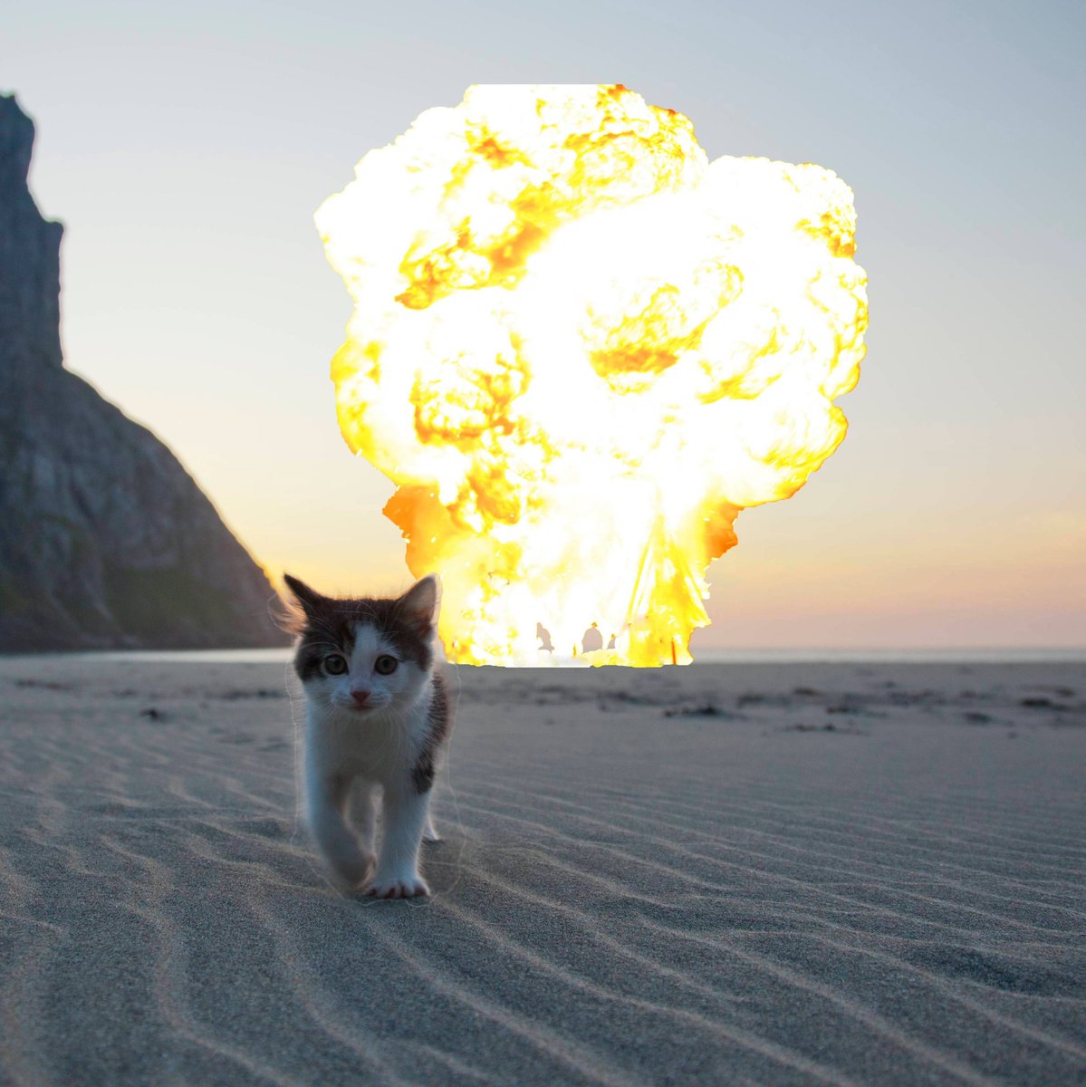 Cat Walking Away From Explosion