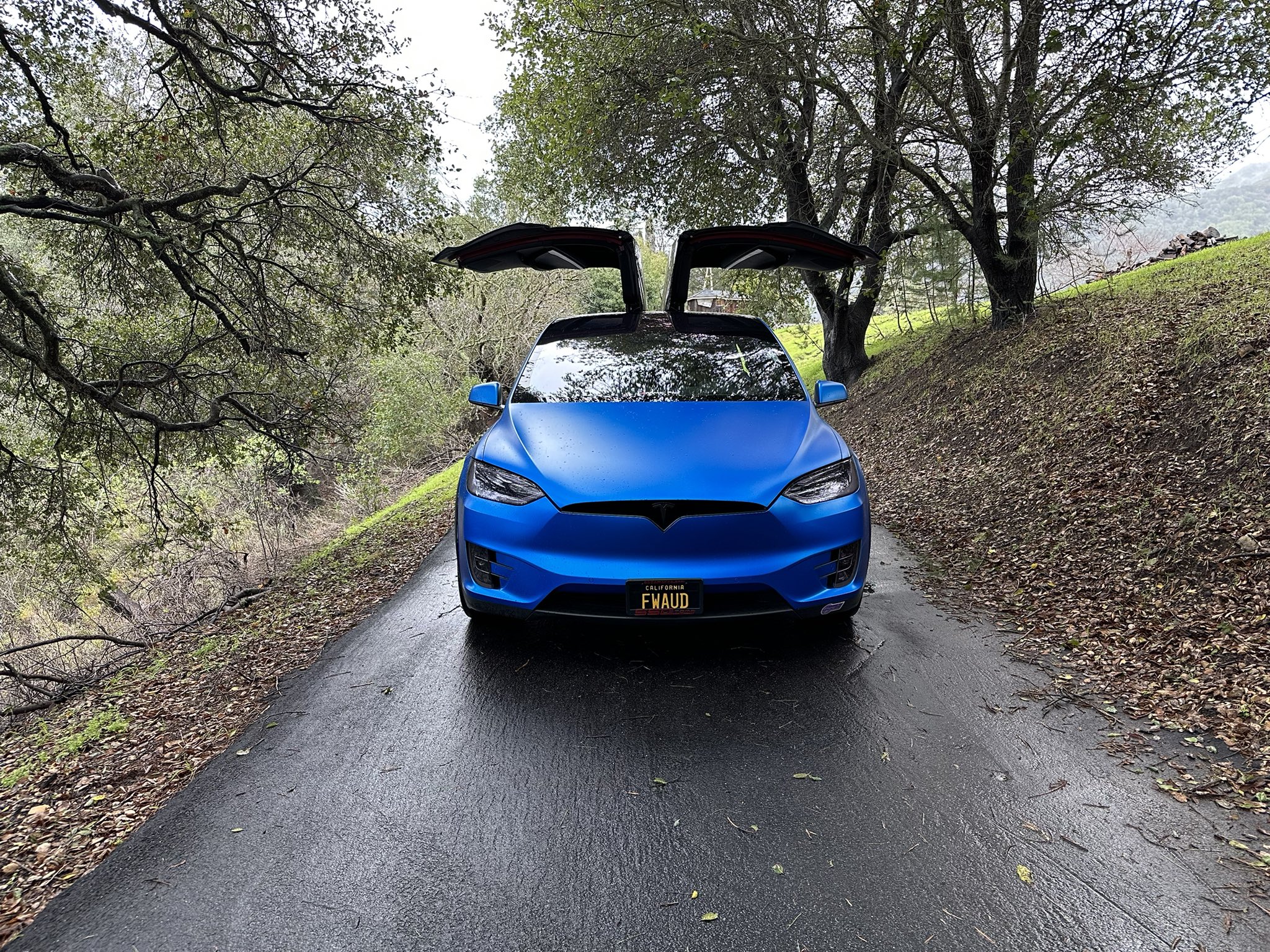 Tesla Owners Silicon Valley On Twitter Mrb2 U Elonmusk Tailosiveev