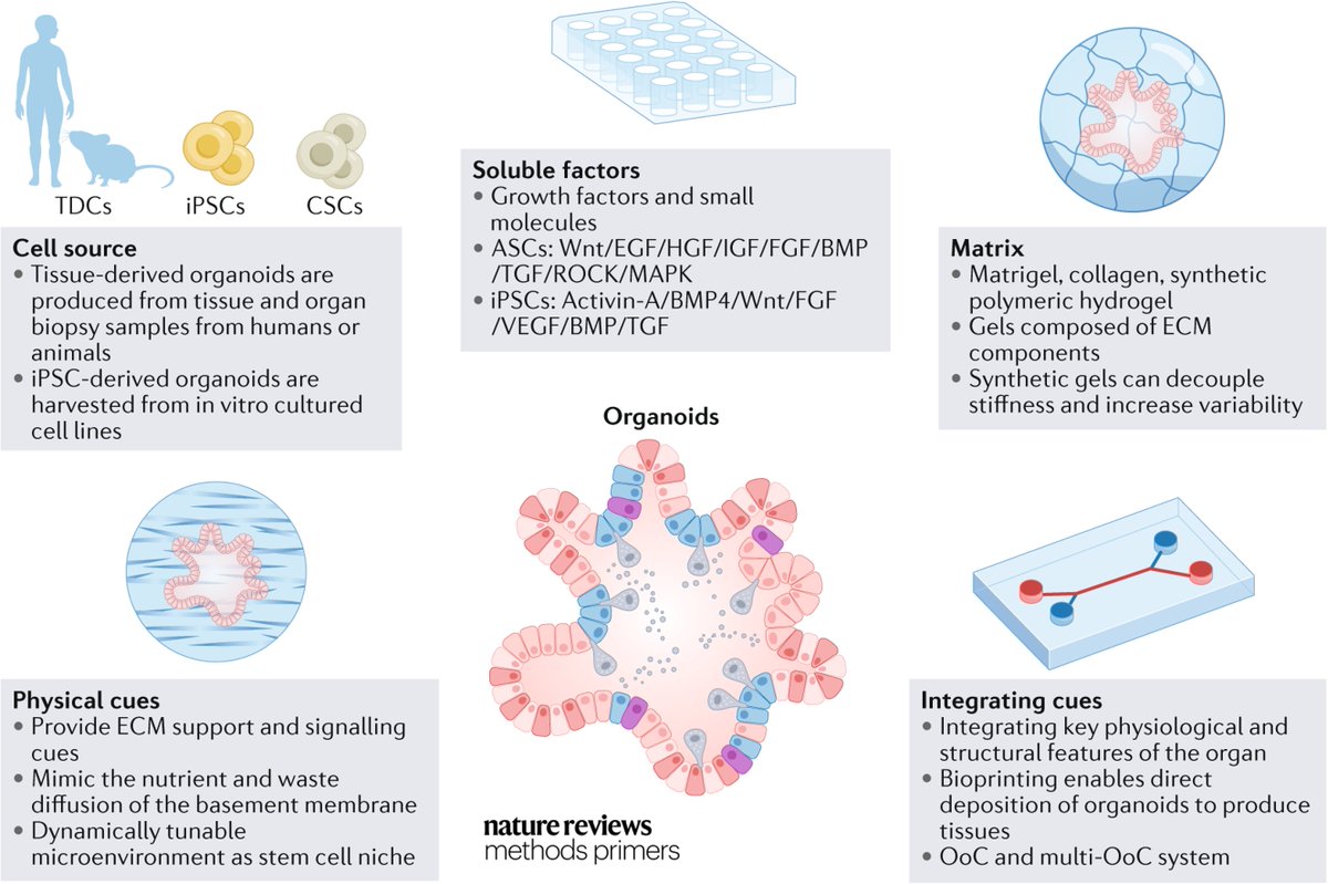 Nature Reviews Methods Primers on Twitter: Nature Reviews Methods Primers on Twitter: