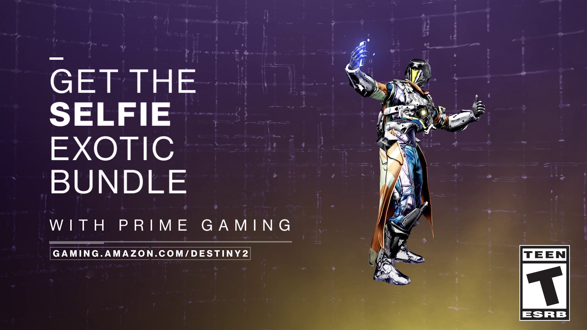 Destiny 2 on Twitter: "Strike a pose, then hit the road. 🤳 Grab the Selfie Exotic Bundle before ...
