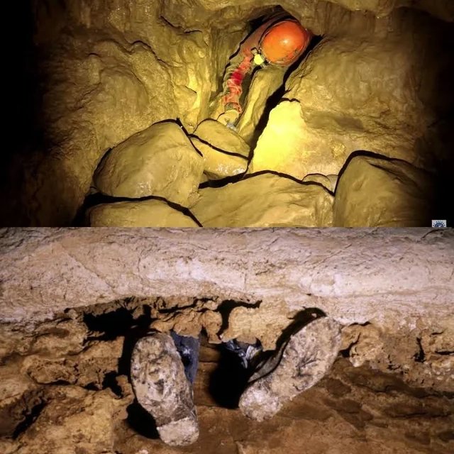 Thread by @CrimesReais on Thread Reader App – Thread Reader App