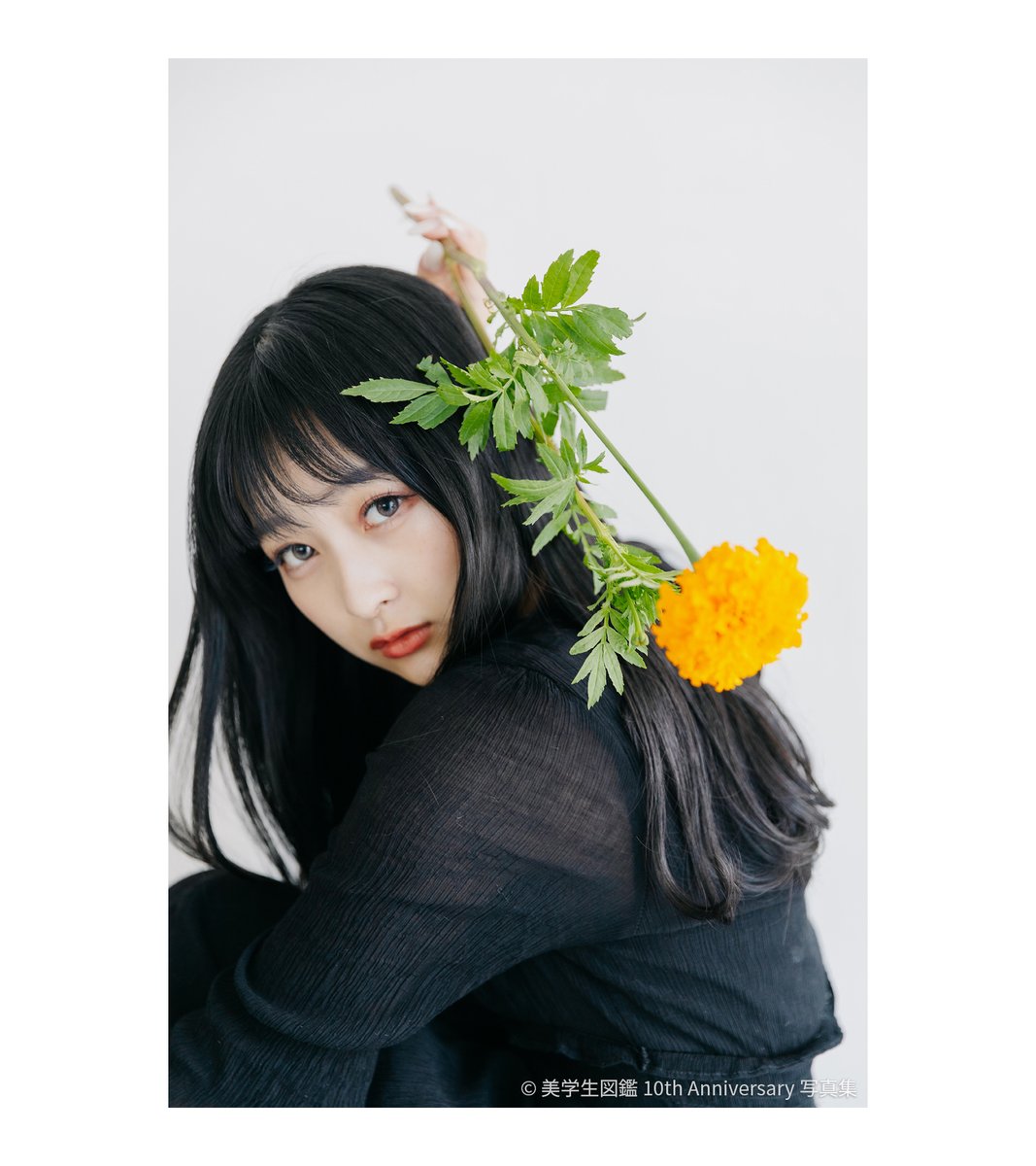 美学生図鑑 on Twitter: "美学生図鑑10th Anniversary写真集 本編収録・未収録カットをチラ見せ👀🫶 二十歳の有賀怜香ちゃんは 少し大人っぽい雰囲気の写真に挑戦 ...