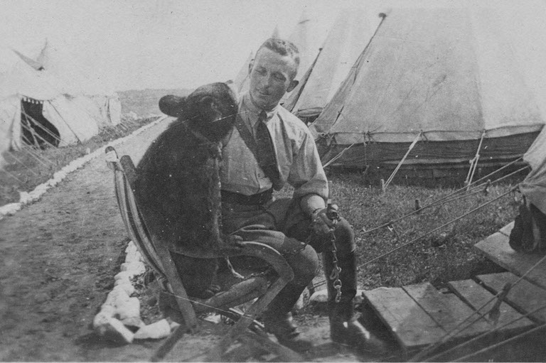 Canada's History on Twitter: "Read about the life of Winnie the Bear, the real-life inspiration ...