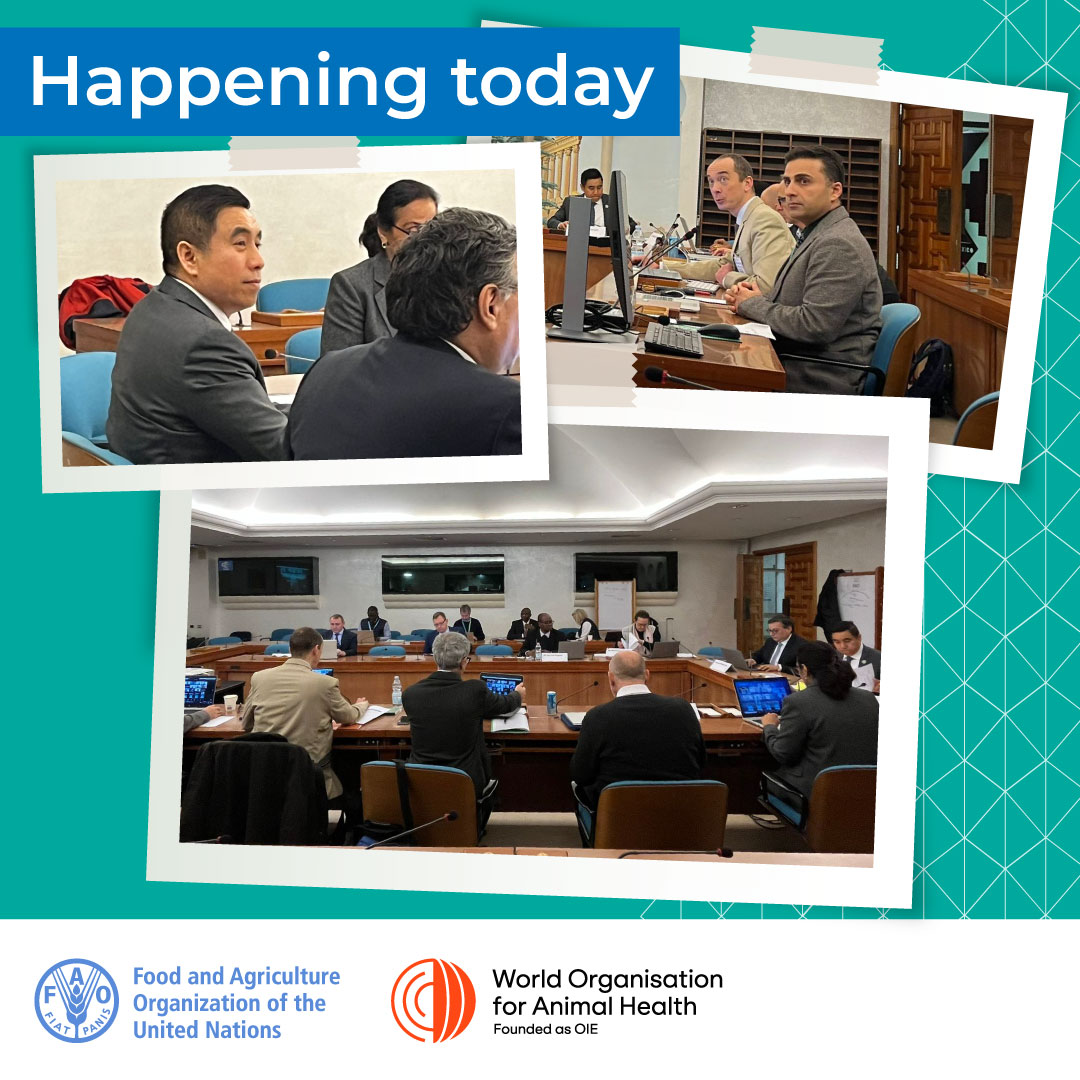 World Organisation for Animal Health for Members on Twitter: "The 13th Global Steering Committee ...