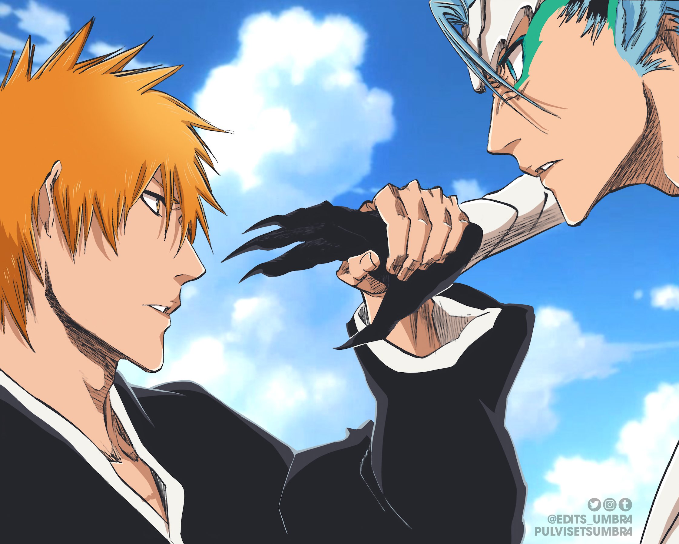 Ichigo Vs Grimmjow Manga