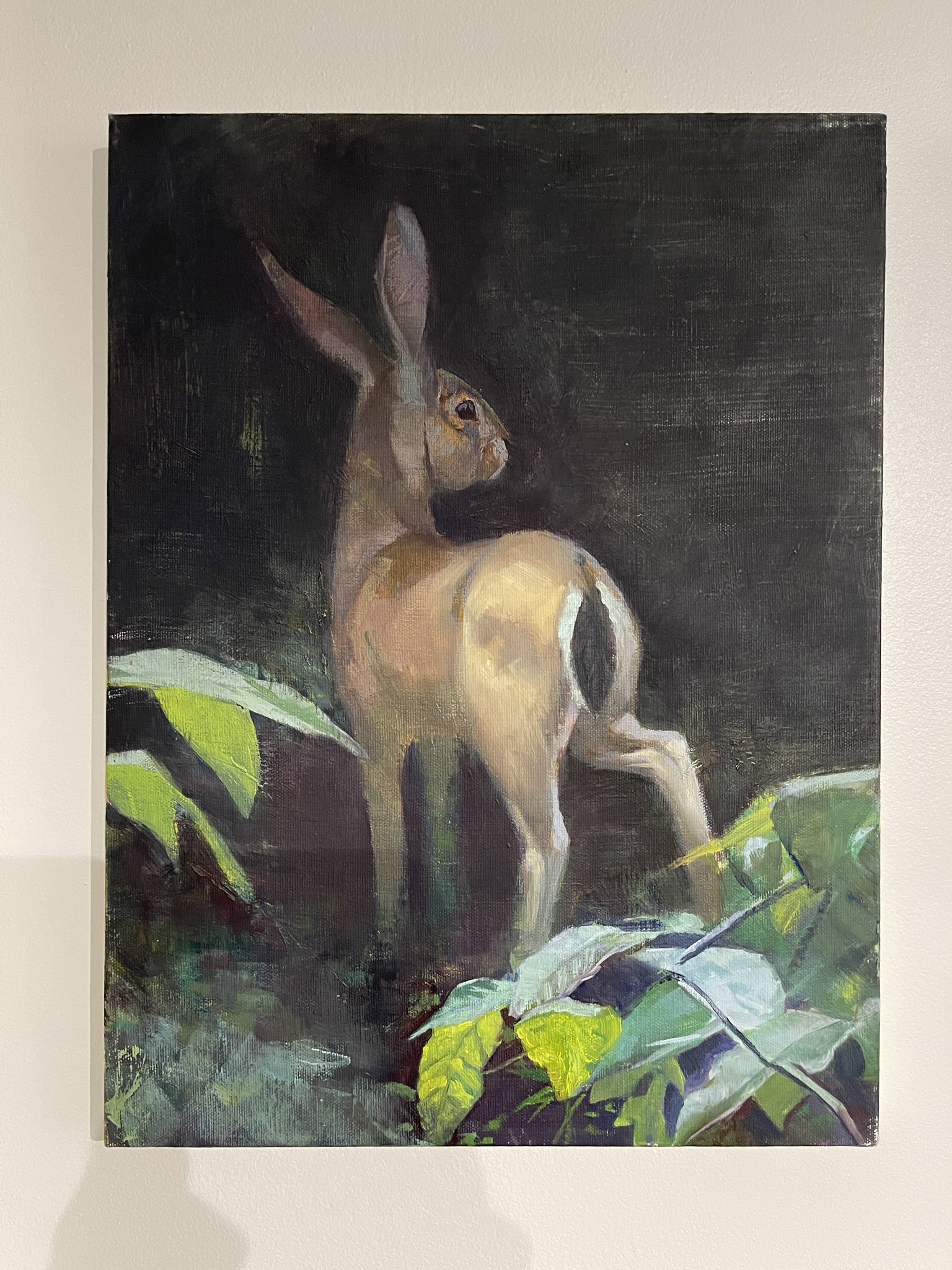 Future Evolution Of Animals