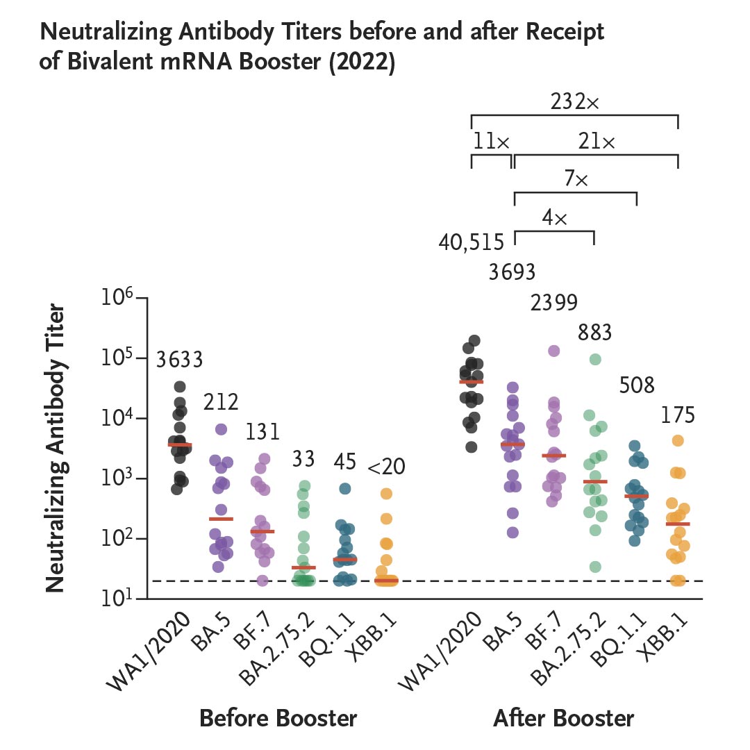 Neutralization Antibody