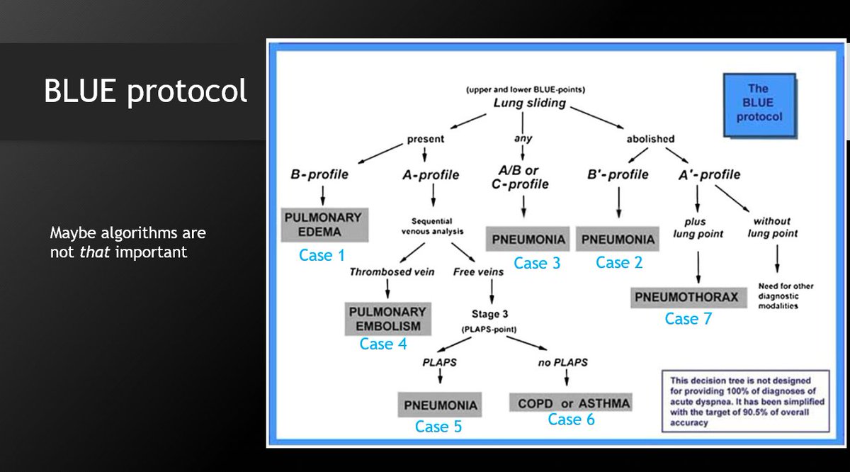 Thoracic Ultrasonography! ...And the long-awaited answers to the ...