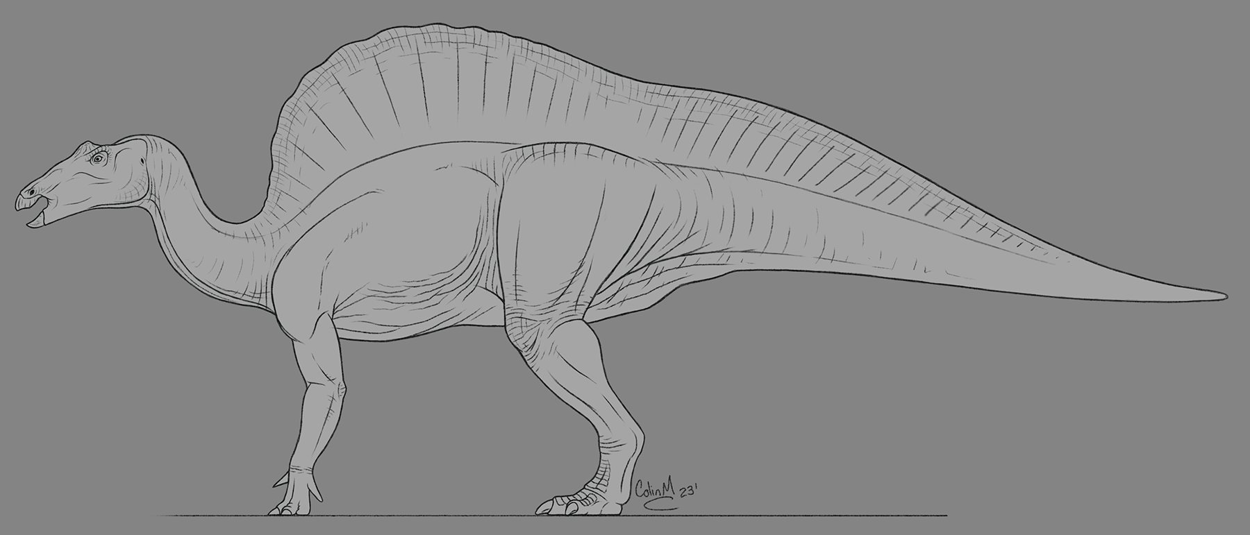 Ouranosaurus Drawing