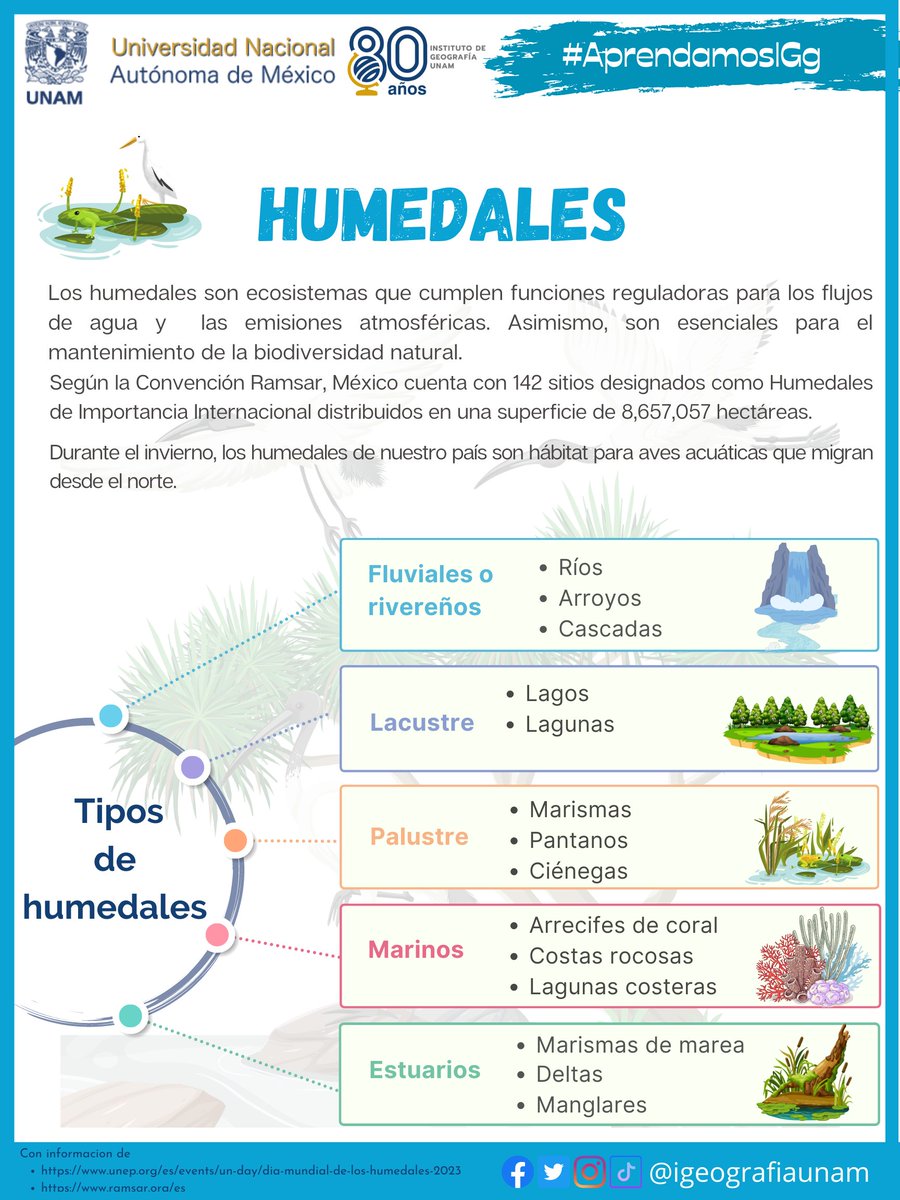 Instituto de Geografía UNAM on Twitter: "#DíaMundialDeLosHumedales Te ...