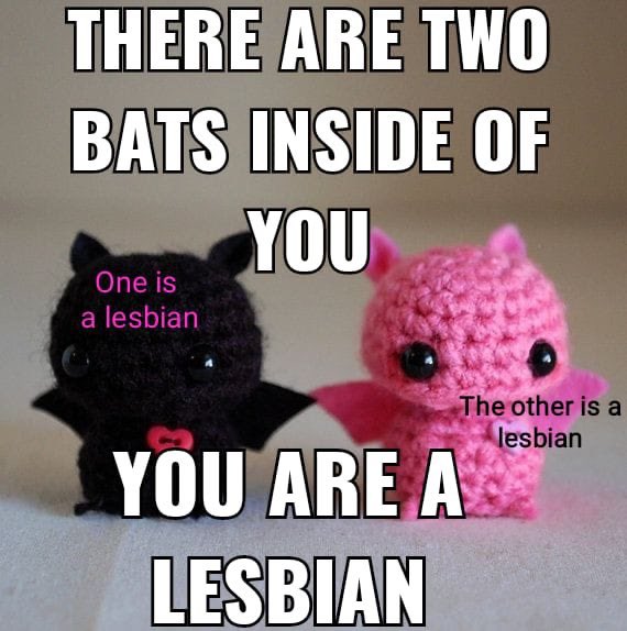 Lesbian Memes (@LesbianMemes_) / Twitter