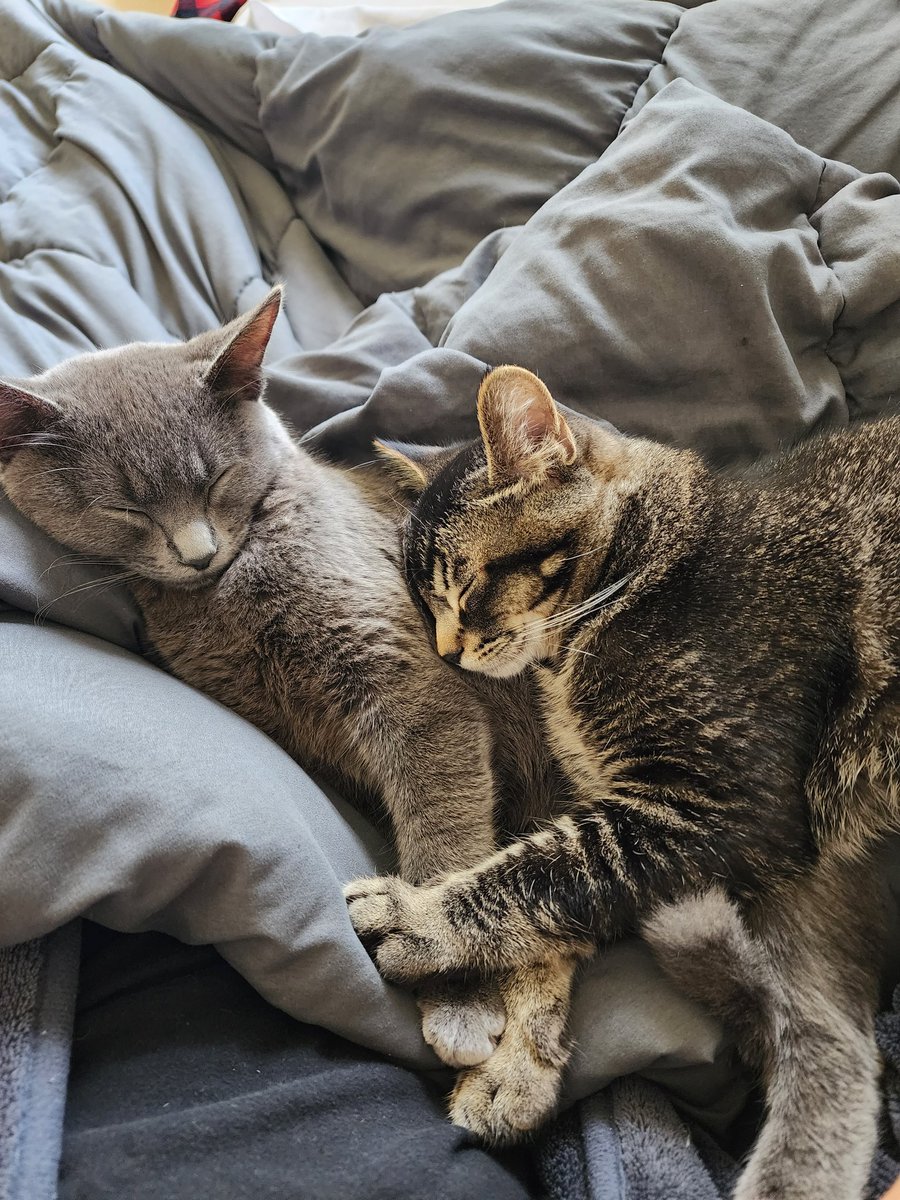 They're holding hands while they sleep. Waaaaait 😭😭😭 Andre Stone || $9. ...