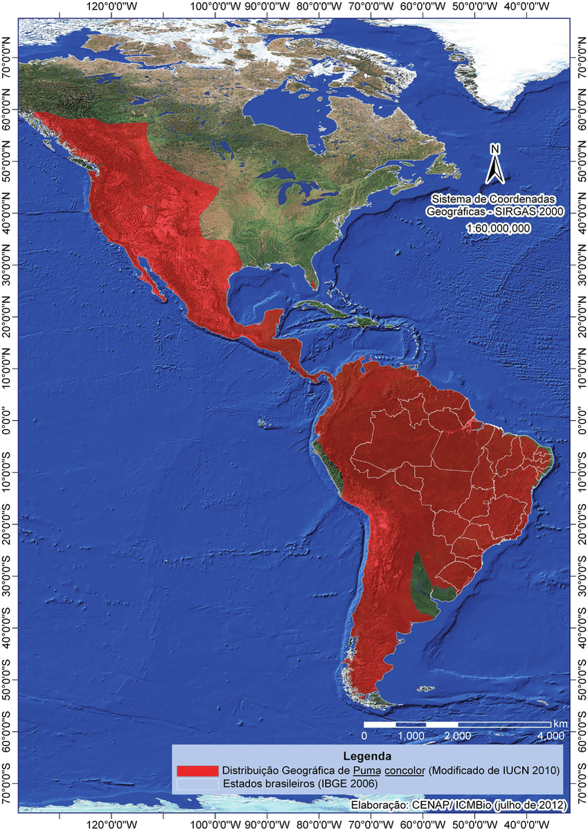 A onça-parda (Puma concolor) é um felino que possui uma distribuição ...