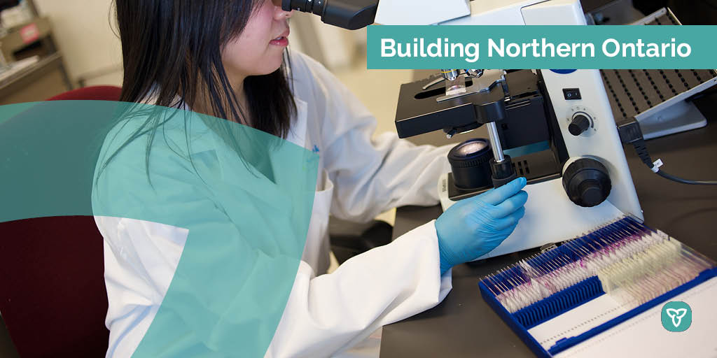 NOHFC on Twitter: "The Ontario government is providing $255,752 for eight job placement ...