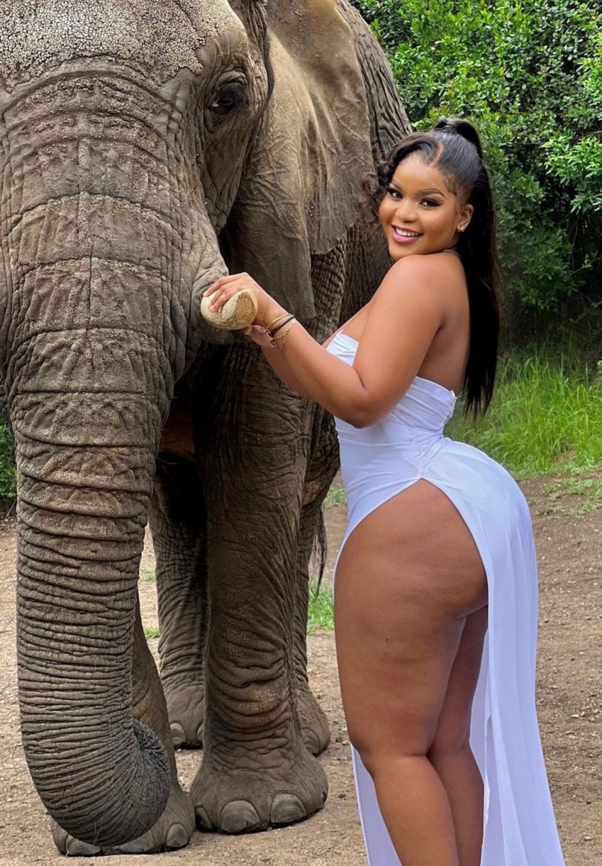 mzansi bhoza (@BhozaMzansi) / Twitter