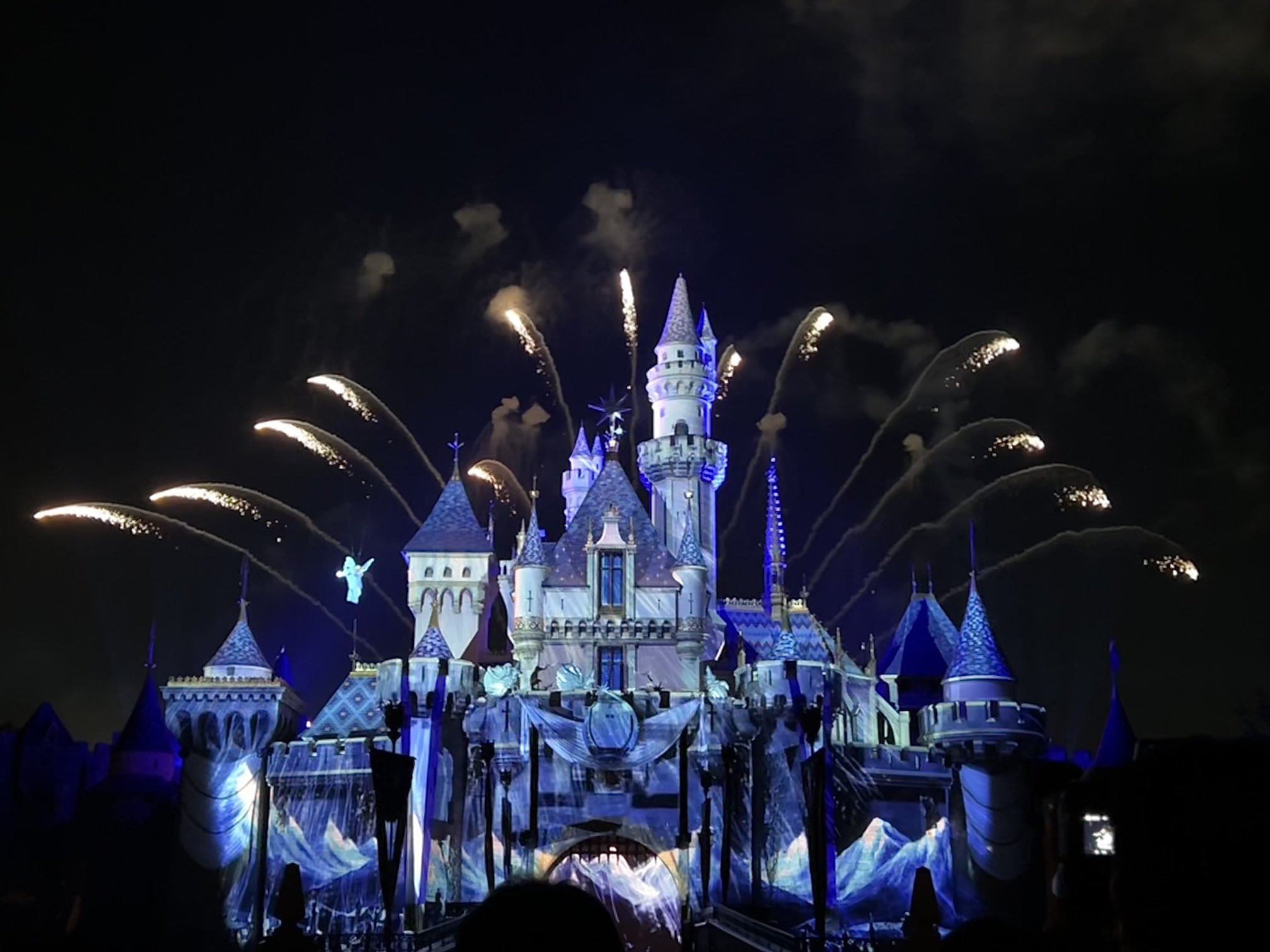 Sleeping Beauty Fairies Flying