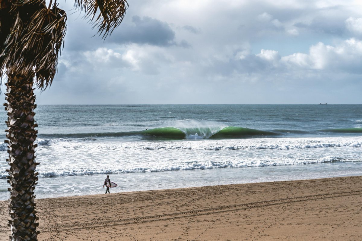 Surfline Pacific Beach
