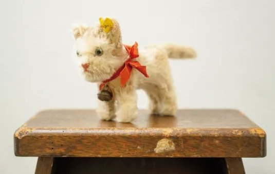 GINZA on Twitter: "デザイナー・蓮井 茜さんの愛してやまない大切なコレクション。最近は、ヴィンテージの風合いが気分。https://buff.ly/3JhGFrA"