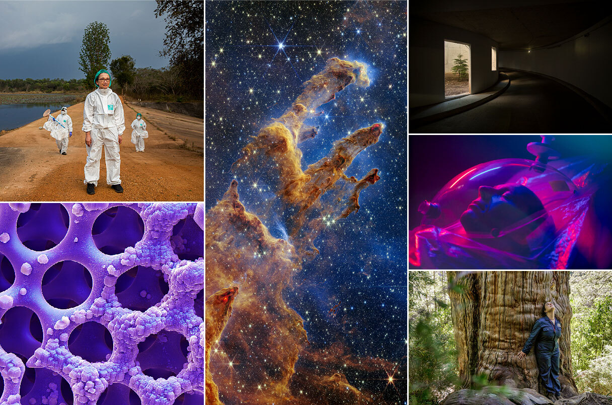 Science Visuals (@ScienceVisuals) / Twitter