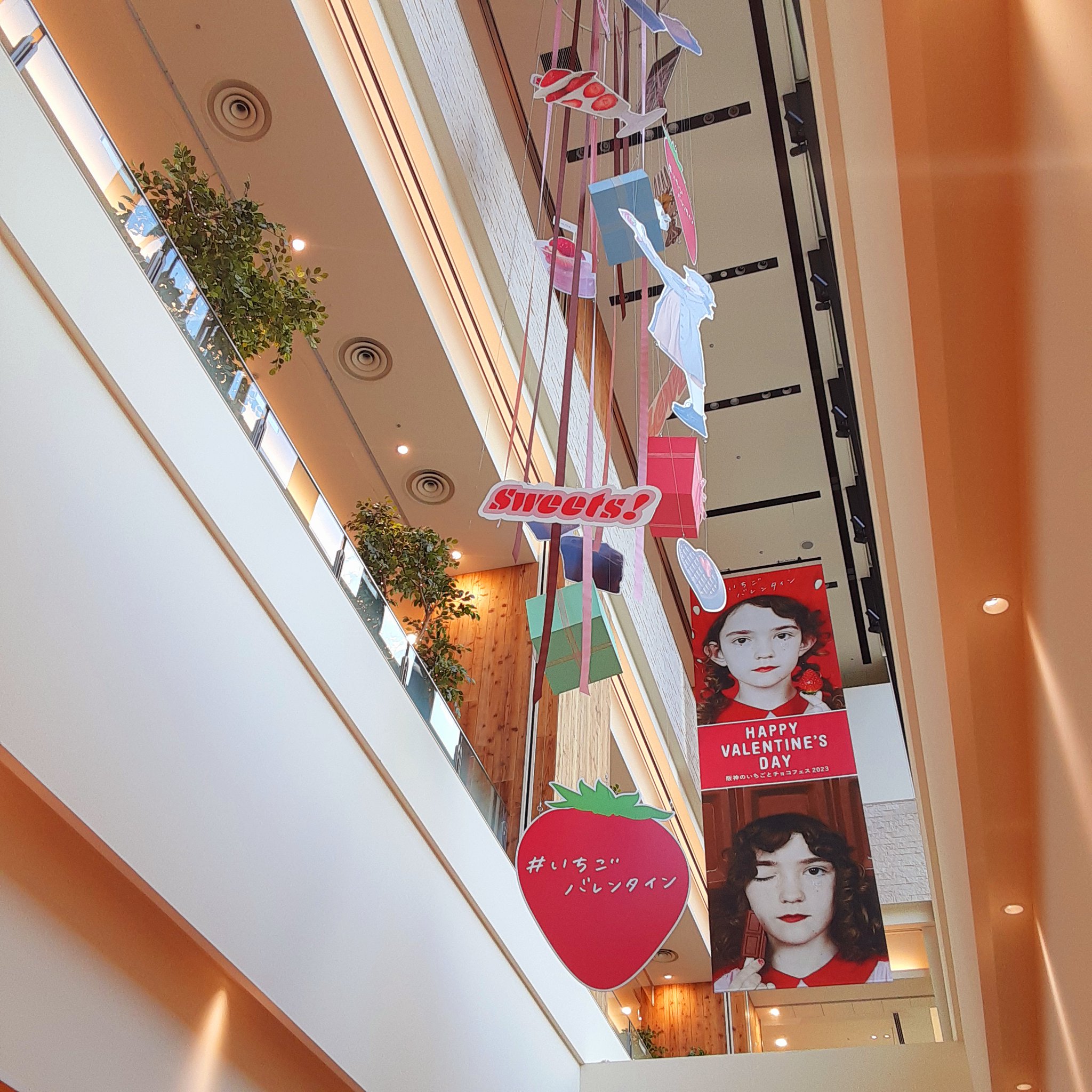 阪急沿線情報紙TOKK【公式】50周年を迎えました🎉 on Twitter: "【梅田NEWS】 本日2月1日から 阪神梅田本店で全館 阪神のいちご🍓と チョコフェス2023開催 チョコは ...