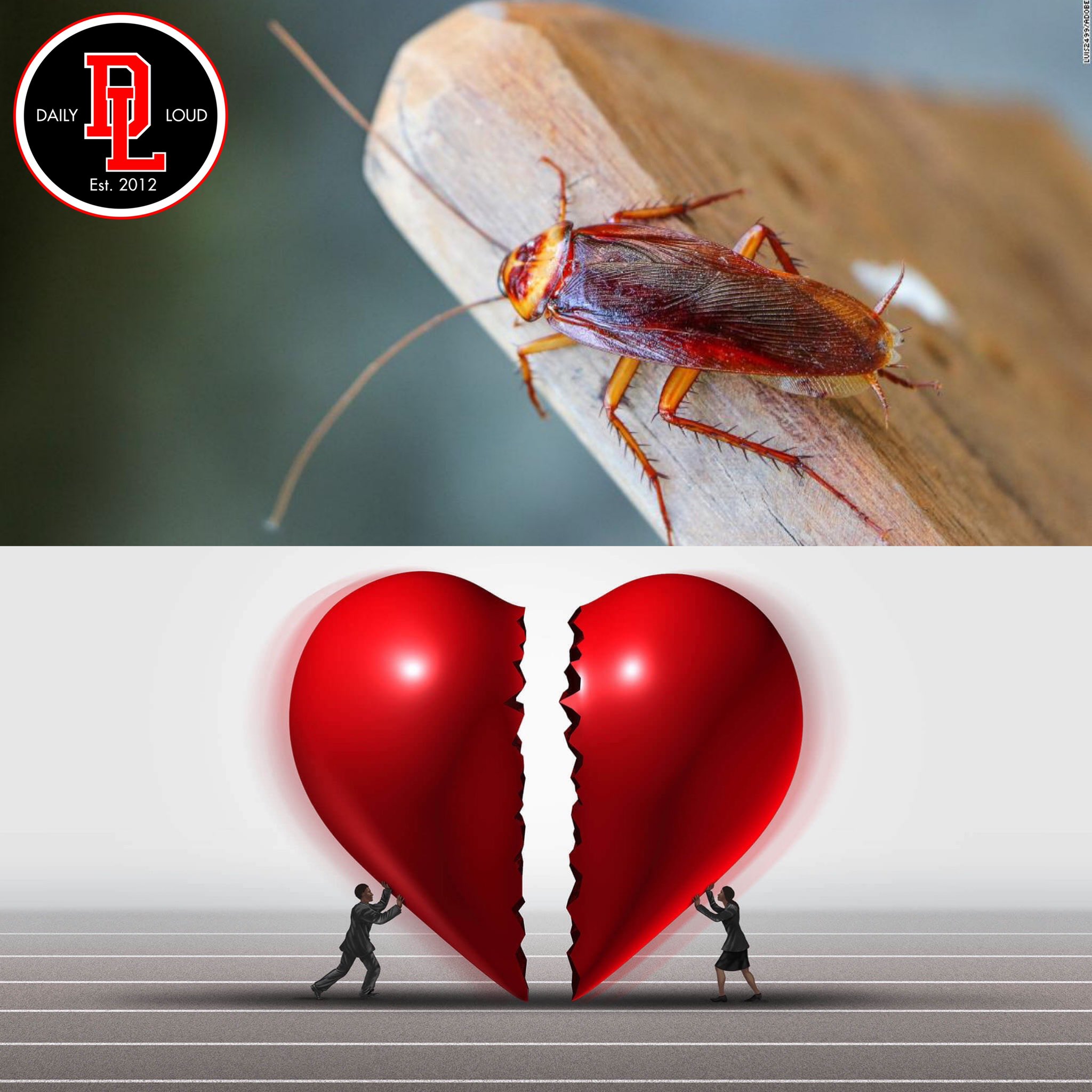 Heart Of Cockroach