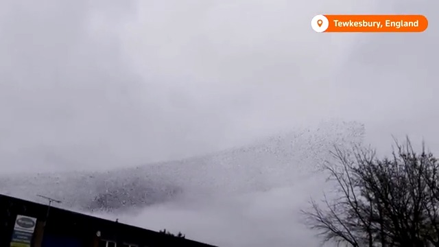 A flock of starlings created shape-shifting clouds above the city of ...