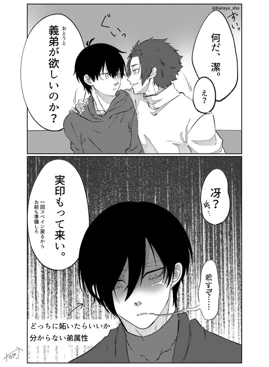 からや on Twitter: "seis rnis漫画もどき 兄弟（単体）→→isg ブラコン拗らせてお兄ちゃんと好きな子のどっちに妬いたらいいか分かんなくなる弟が描きたかっただけ"