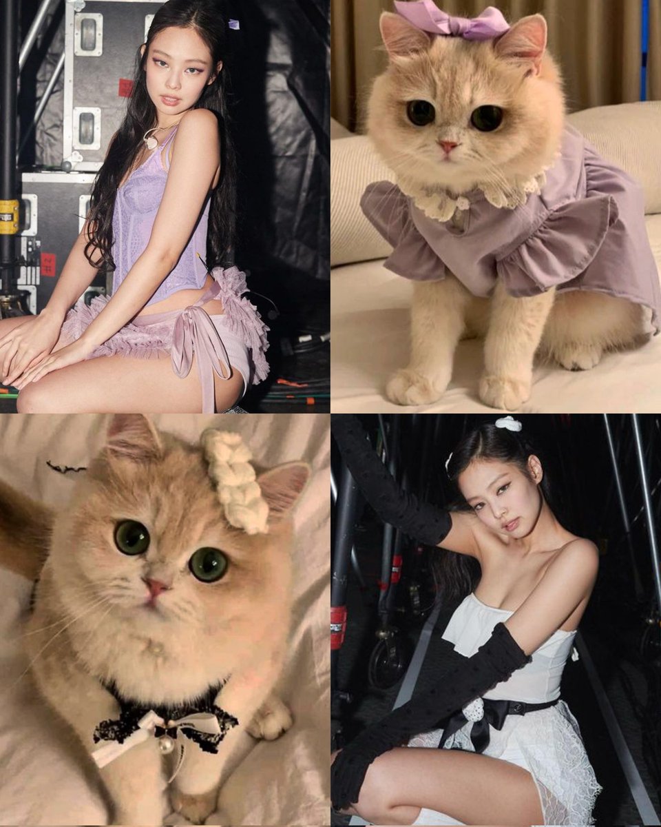 Saturn on Twitter: "RT @jnkmfeed: jennie kim as a cat"