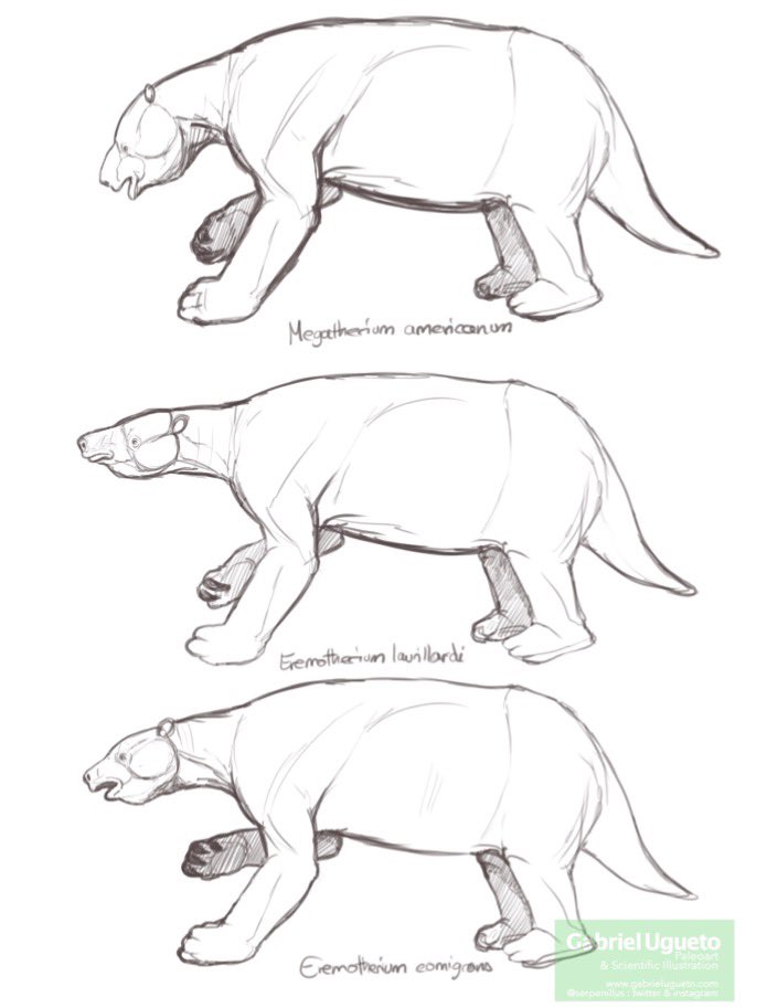 Eremotherium Eomigrans