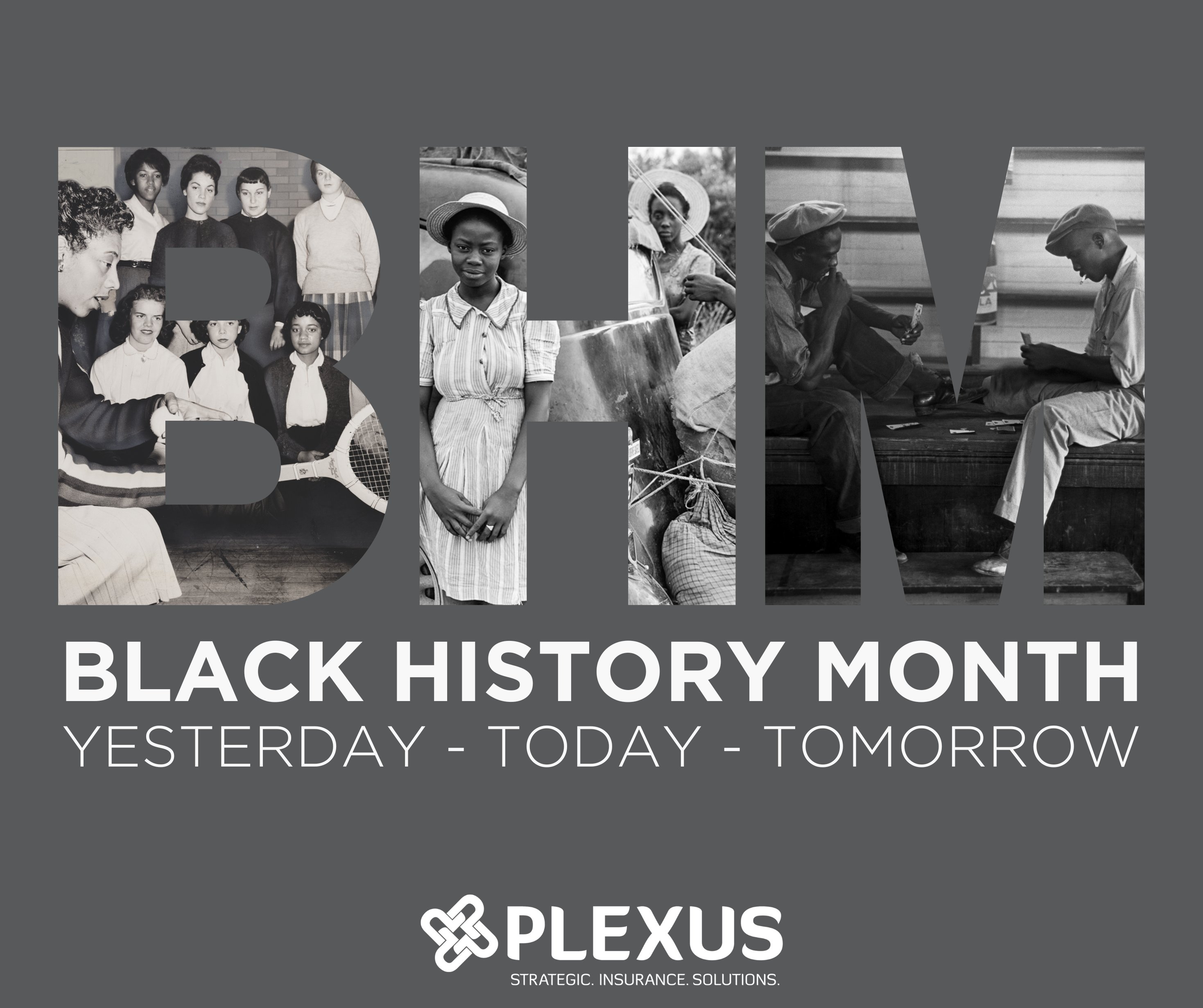 The Plexus Groupe (@plexusgroupe) / Twitter