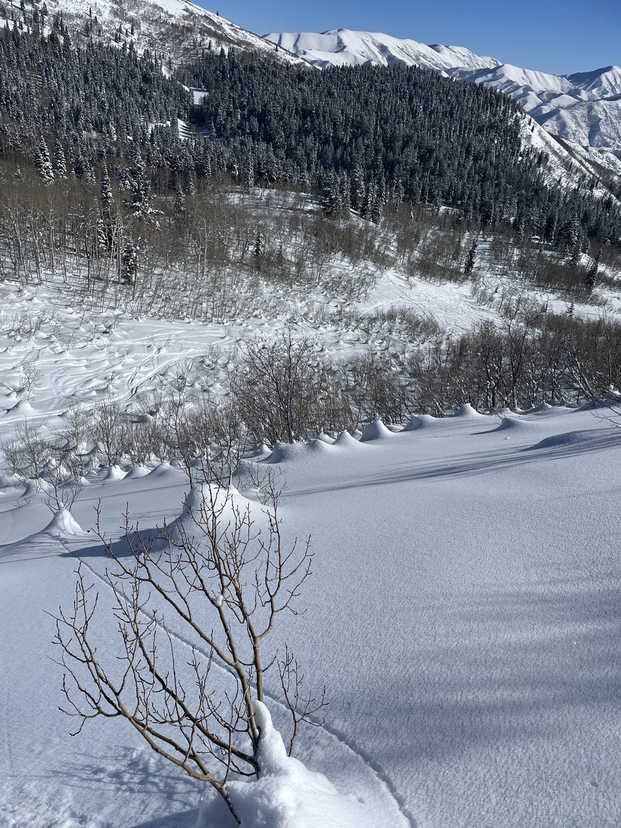 Weather & Mountain Alerts – The Lodge at Snowbird