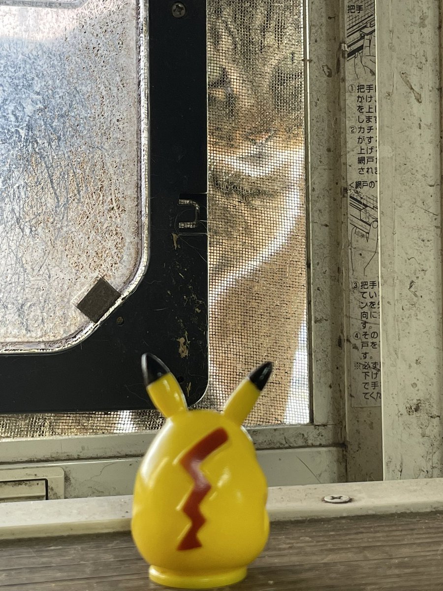 偽物のピカチュウ (@fake_pikachu__) さんのモデル作品まとめ (154 件) - Twoucan