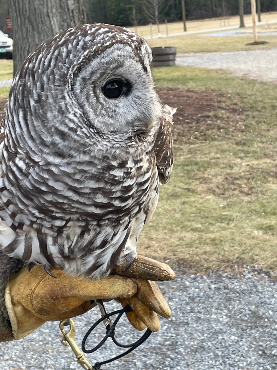 Bernie Sanders' Daugther-in-Law, Raine Riggs - How Did She Die?