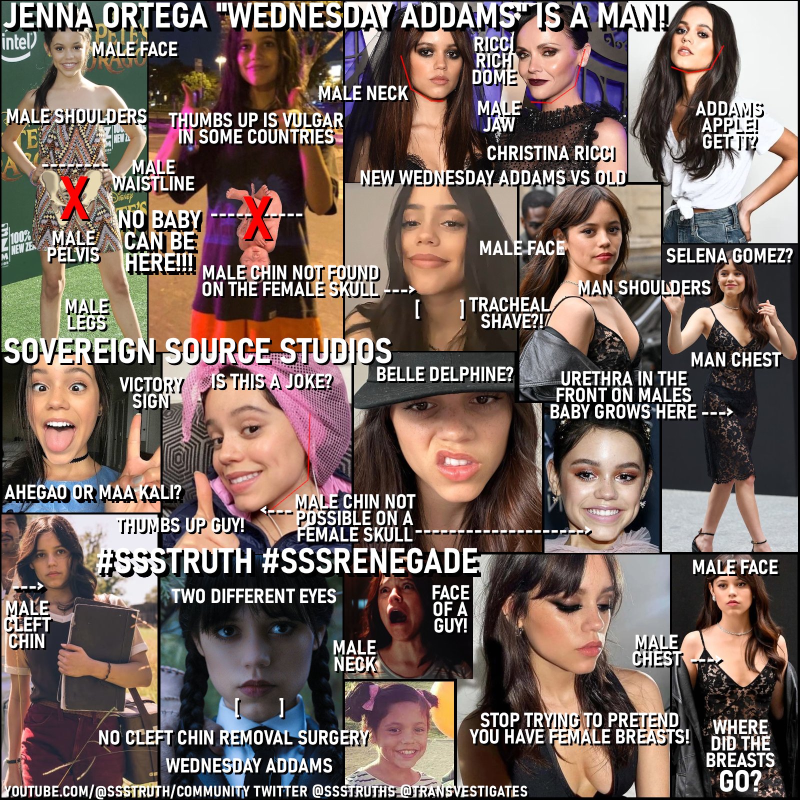 Sovereign Source Studios #SSSTruth #SSSRenegade on Twitter: "CAREER ENDER SSS REQUEST Jenna ...