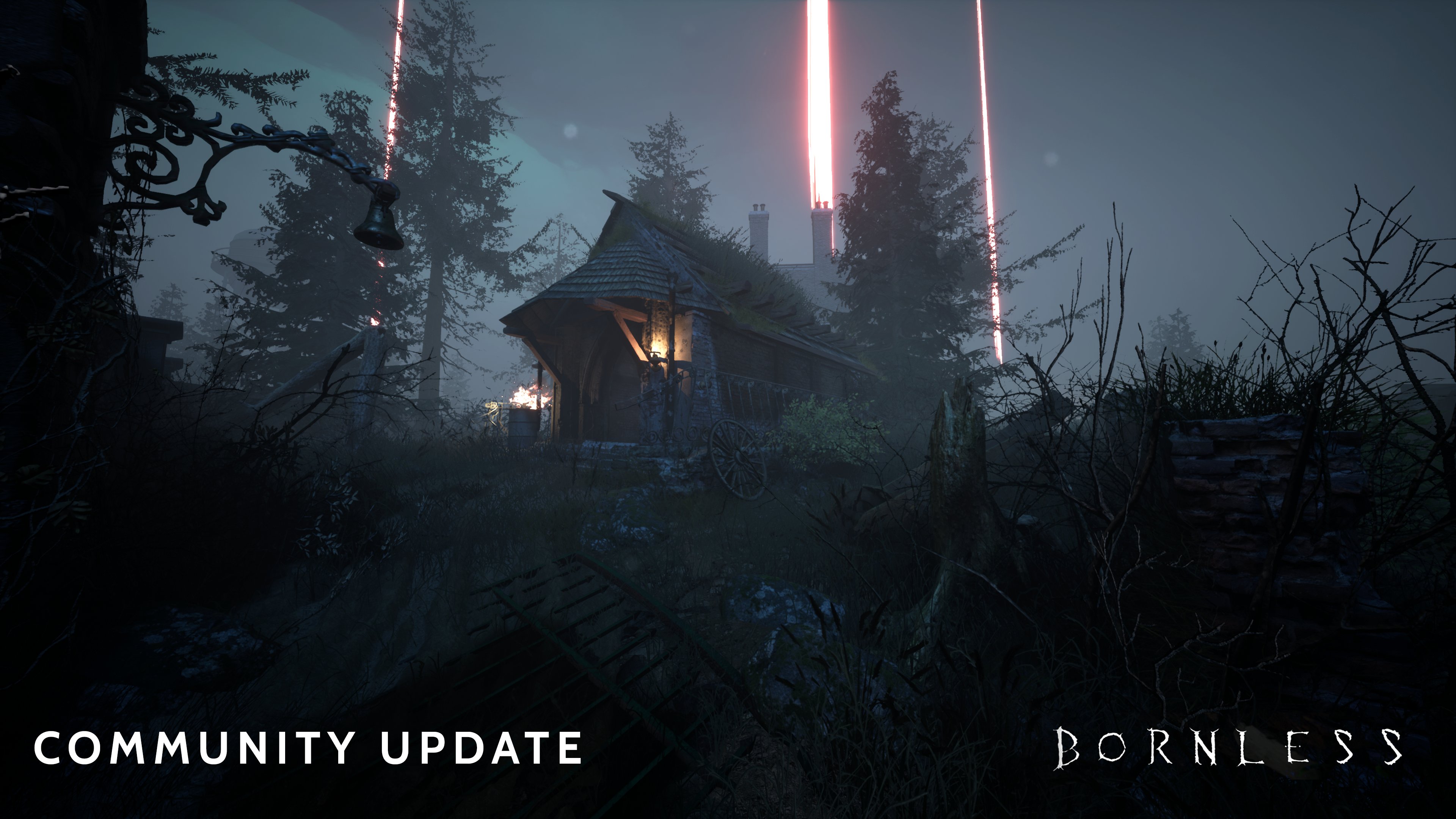 The Bornless on Twitter: "Our monthly Community Update is coming up at 9PM UTC today. We are ...