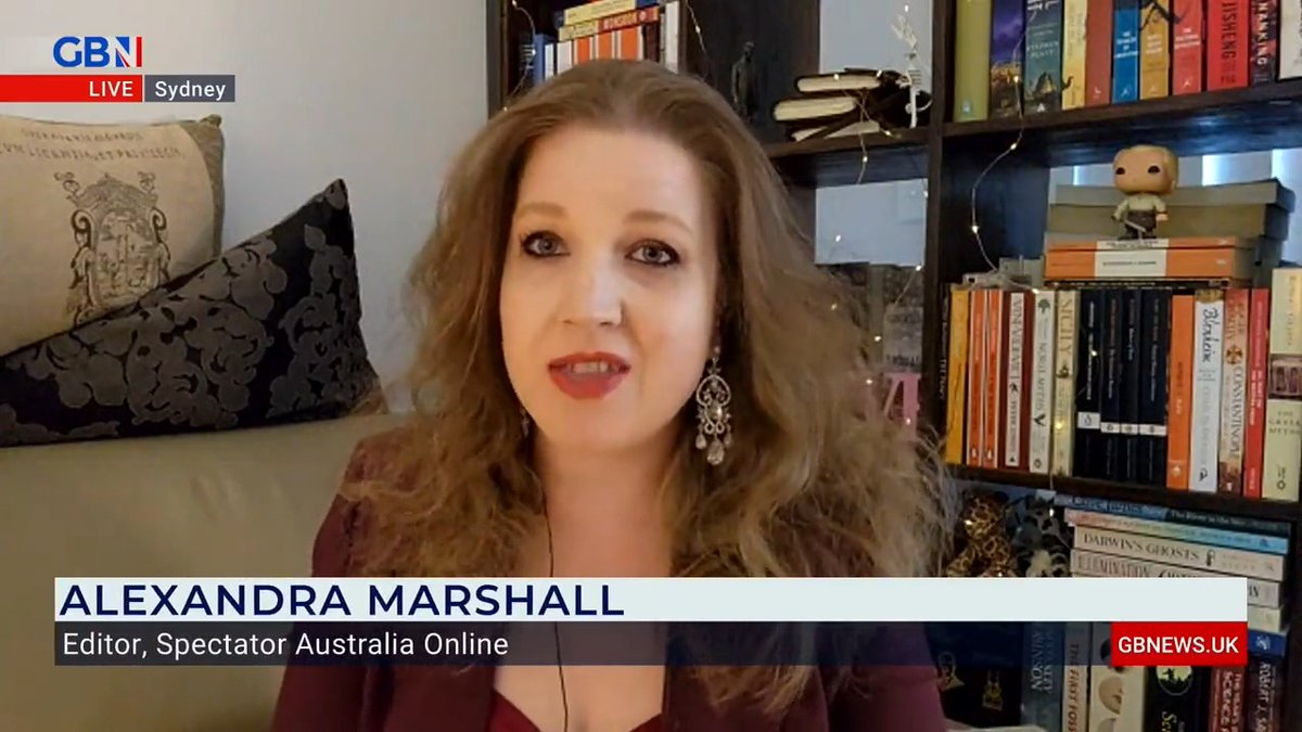 Alexandra Marshall on Twitter: "RT @GBNEWS: 'It was like erecting chicken wire to keep mosquitos ...