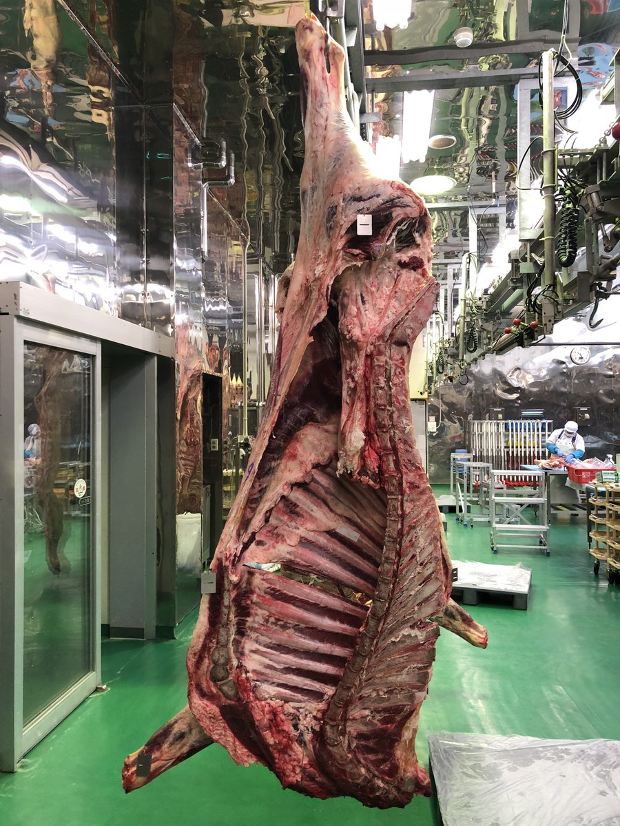 ゆうすけ On Twitter Rt Yusuke815 牛がお肉になるまで。農家で育てられた牛は出荷されると屠殺(とさつ)され、頭