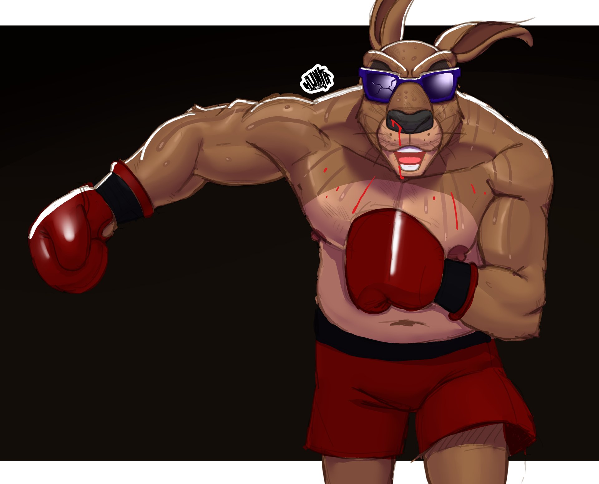 Kangaroo Jack Boxing Kangaroo Jack Gives Putulski An Uppercut With