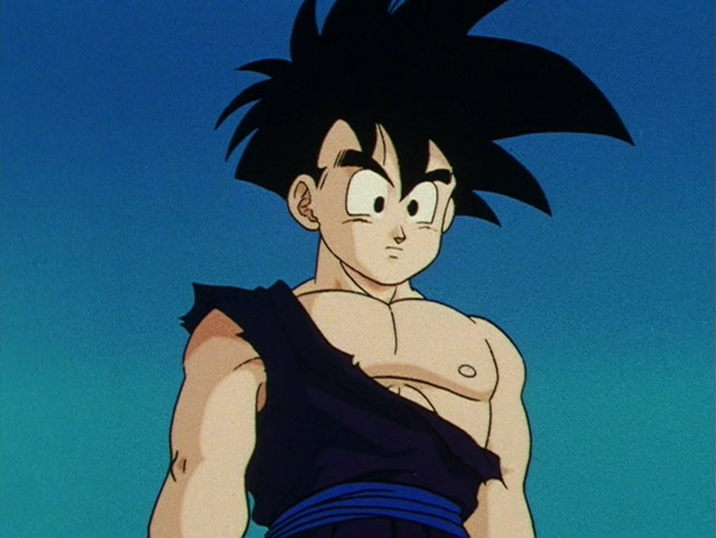 Dragon Ball Z Gohan Normal