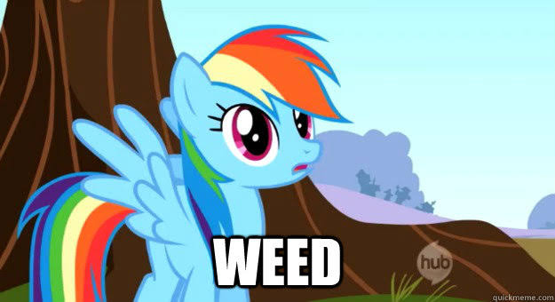Horse Weed Meme Rastafari Otter Hippie Stoner Smoking Weed Sticker