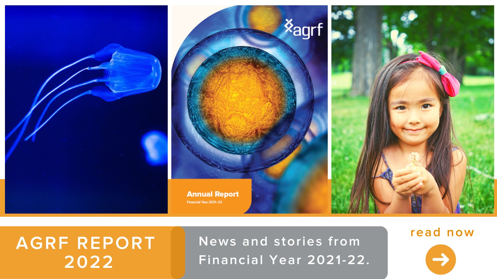 AGRF on Twitter: "📣It's here! Our Annual Report for Financial Year 2021-22. Download a copy via ...
