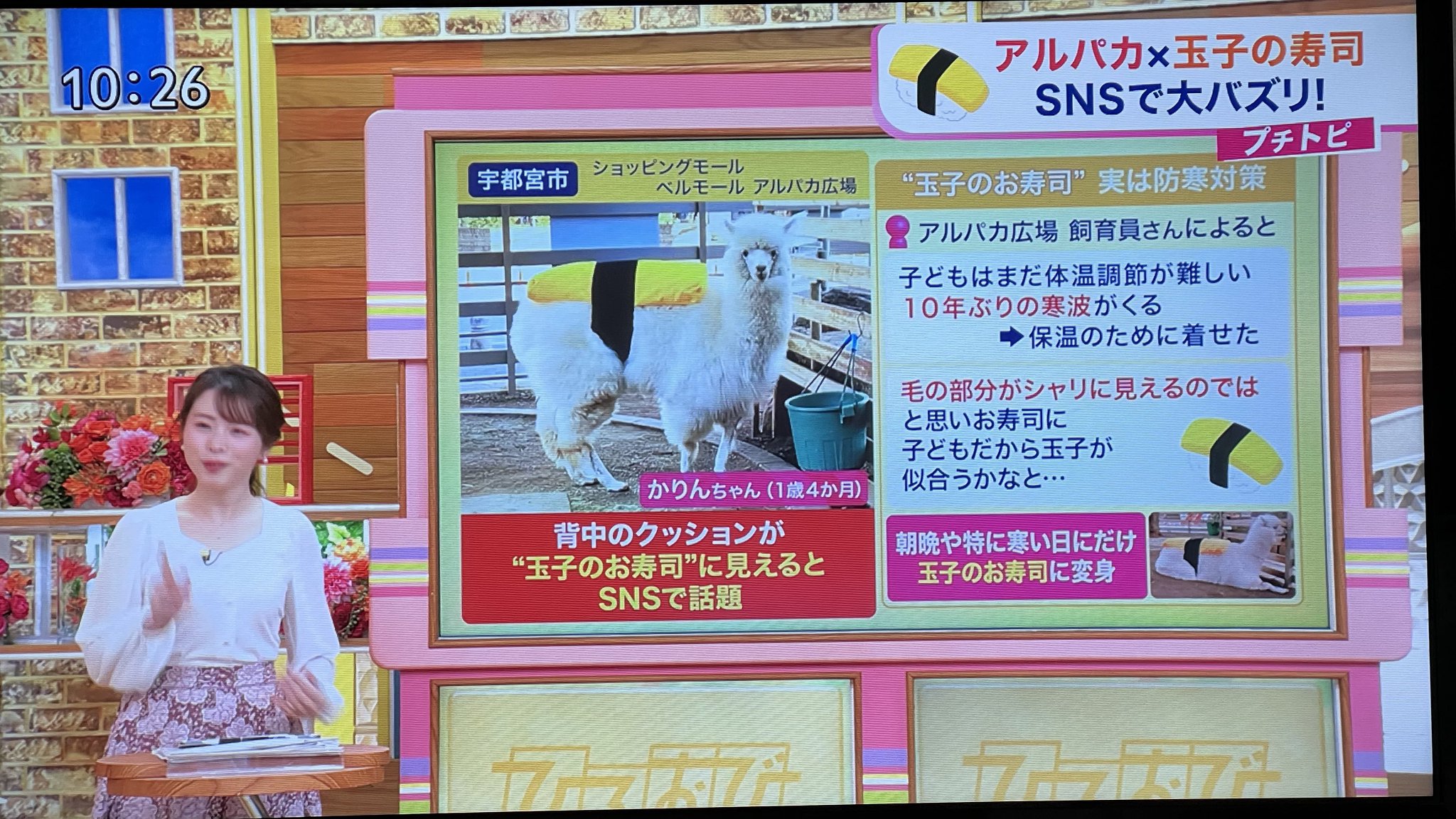 うがみな🍵㊗️しろあやポコチャ再開🥳 on Twitter: "2023年 2月 2日 木 ひるおびのみなれなとヤマリナ👼とわかばちゃん😃 #TBSテレビ #TBS #ひるおび #TBS ...