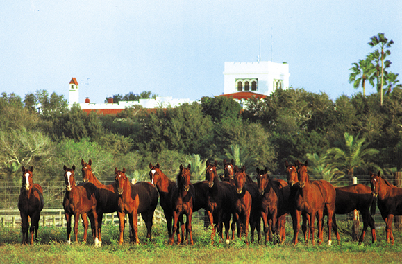 Thread by @500YearFamily on Thread Reader App – Thread Reader App